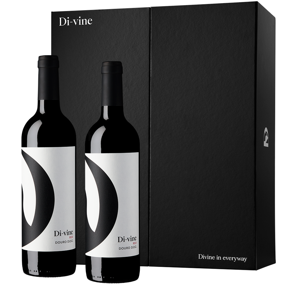 Duo of Di-vine red wine in elevator gift box